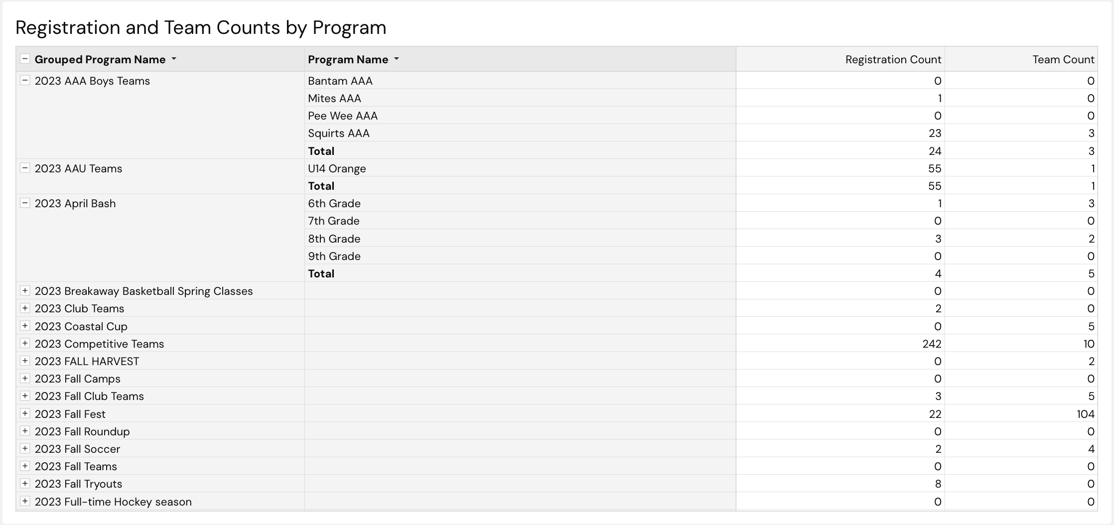 Organization Program Summary Report – LeagueApps